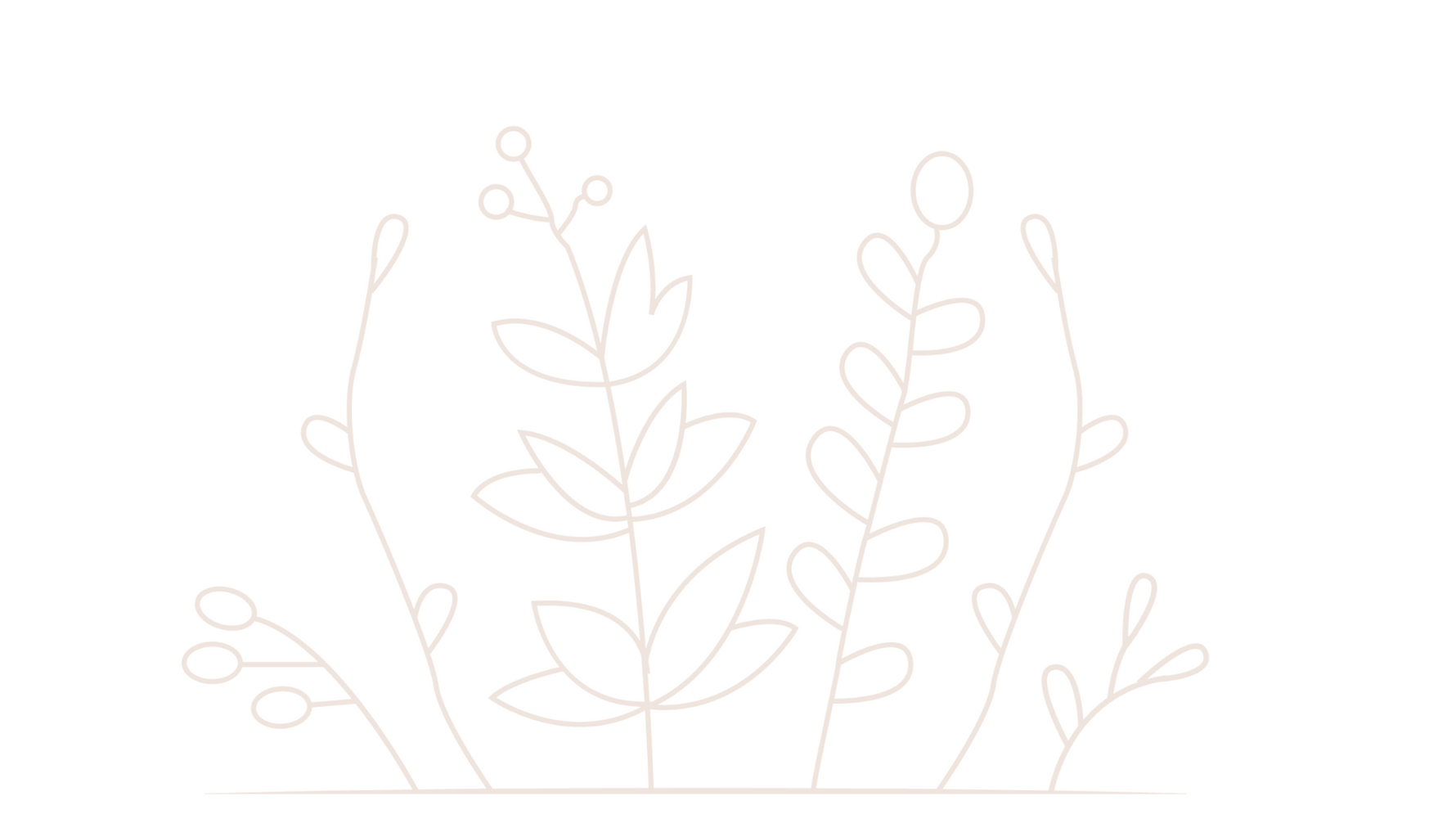 About – Seed + Stone